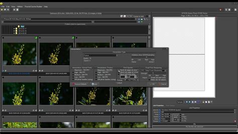 Qimage Ultimate Printing Options Youtube