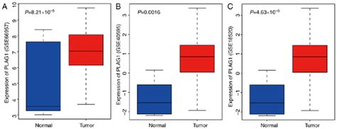 Plag1 Expression Is Increased In Oc Associated Gene Expression