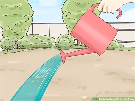 Ways To Keep Squirrels Away WikiHow