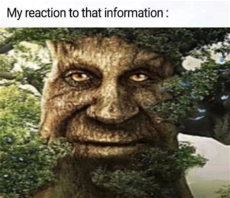 My Reaction To That Information Wise Mystical Tree If Youre Over 25 And Own A Computer