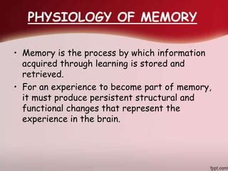 Physiology Of Memory PPT