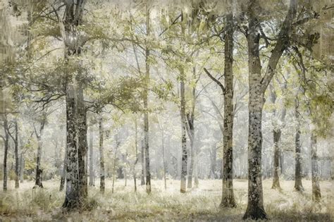 Premium Photo Quiet Swaying Trees In A Secluded Forest Their Branches