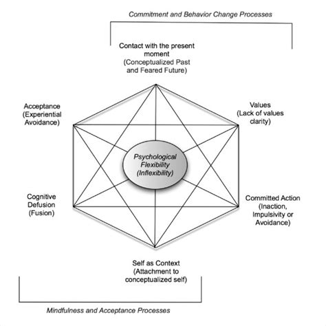 The Hexaflex Model Of Act For Psychological Flexibility And Inflexibility Download Scientific