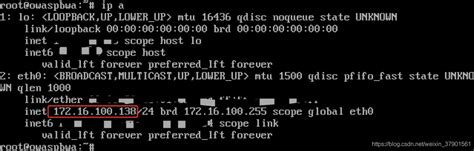 主机浏览器访问不了owasp的主页红提口味趣多多的博客 Csdn博客