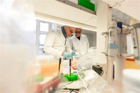 Dna Encoded Libraries Vs Fragment Based Screening Pros And Cons Vipergen