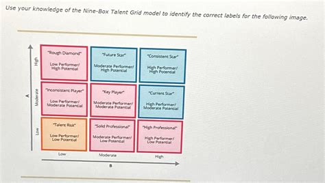 Solved Use Your Knowledge Of The Nine Box Talent Grid Model