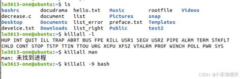 Linux操作系统实验报告单（6）进程与任务管理linux操作系统进程管理和系统监视怎么设置实验报告设计 Csdn博客