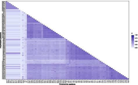 Linkage Of Heterozygous Positions Correlation Matrix Of Pair Wise Download Scientific Diagram