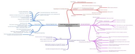Unit 6 Microbial Identification And Classification Coggle Diagram