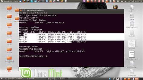 check cpu temperature in linux mint 14 youtube