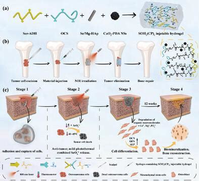 Advanced Functional Materials X Mol