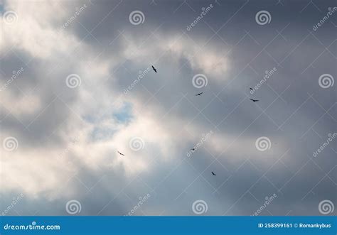 A Cloudy Sky With Sunlight Shining Through And A Flock Of Birds Of Prey