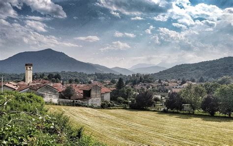 Vita Da Shabby Reano Delle Meraviglie