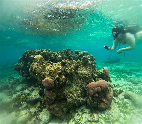 Snorkeling One Of The Major Attractions In The San Blas Islands