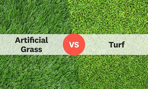 The Great Debate Artificial Grass Vs Turf