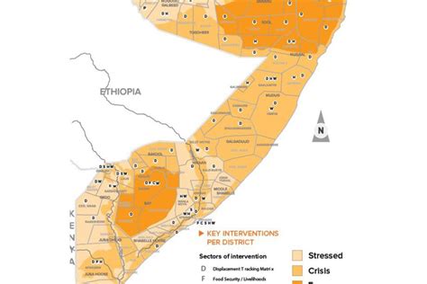 Un Migration Agency Participates In Launch Of Somalia Drought Response