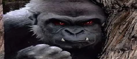 Top 10 Cryptids Still Lurking Around New Jersey Hubpages