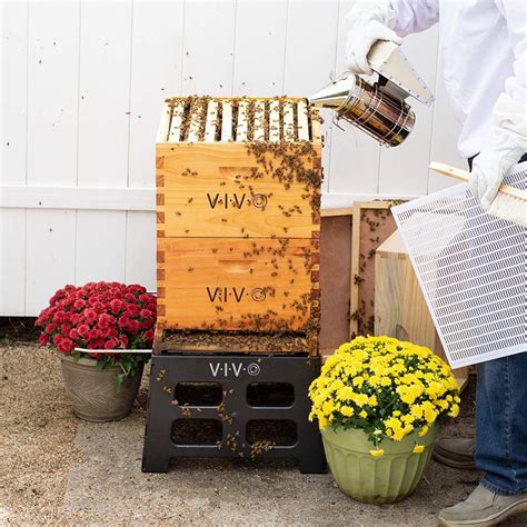 10 Best Complete Bee Hives For Sale In 2023 Complete Beehives