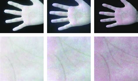 Three Original Palmprint And ROI Images Of The HFUT CS Database The