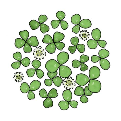 ふきのとうのイラスト｜フリー素材 Greenstock40