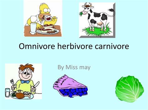 Omnivore Herbivore Carnivore Year 1 Ppt