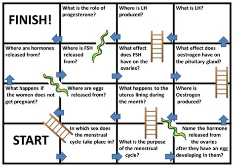 Aqa Gcse Biology Science Hormones In Human Reproduction Lesson