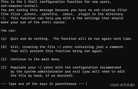 安装wsl Zsh And Pure Zsh Prompt 美化【windows11】wsl Zsh Csdn博客