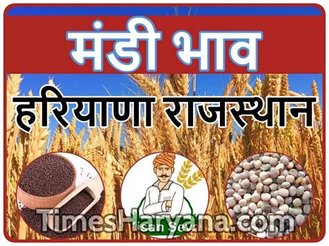 Mandi Bhav 13 May 2023 आज मंडीयो में गेंहू सरसों चना ग्वार नरमा