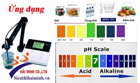 Ảnh Hưởng Của Độ Ph Đến Sức Khỏe Và Ứng Dụng Của Máy Đo Ph Trong Đời Sống