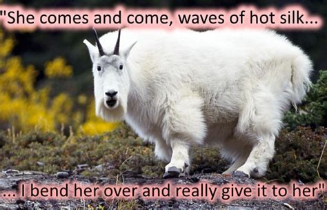 7 Horrific Sentences From This Years Bad Sex In Fiction Nominees