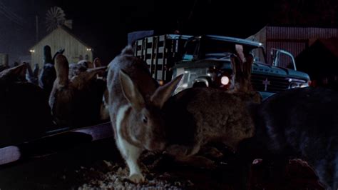 Night Of The Lepus 1972 Mubi