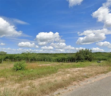 Ladrões furtam 17 ovelhas de propriedade na zona rural de Crateús no Ceará