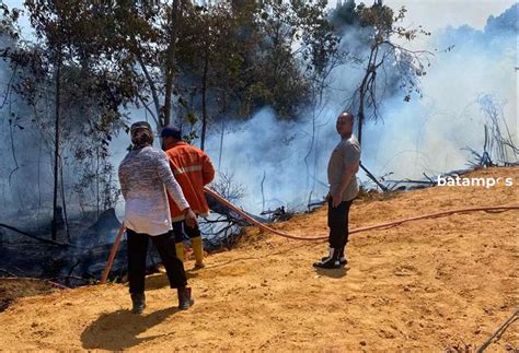 Kebakaran Di Hutan Kawasan Bandara Hang Nadim Metropolis