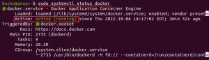 How To Install Docker On Ubuntu