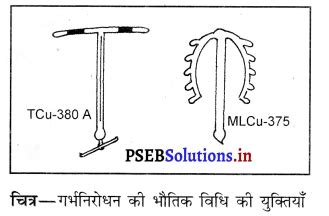 PSEB 10th Class Science Solutions Chapter 8 जव जनन कस करत ह PSEB Solutions