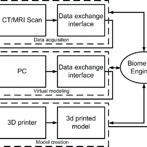A Block Diagram Of The Process Of Creating The Training Anatomical Model Download Scientific