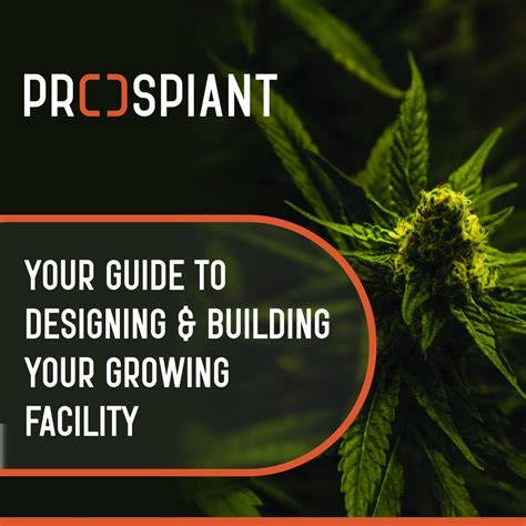 Prospiant On Linkedin Cannabis Growing Guide Pdf
