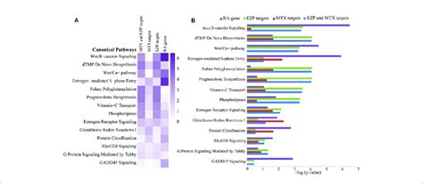 The Results Of Bioinformatic Analysis Signaling Pathways Shared