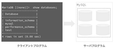 mysql クライアントプログラムの起動 code guide