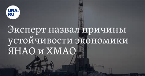 Эксперт назвал причины устойчивости экономики ЯНАО и ХМАО