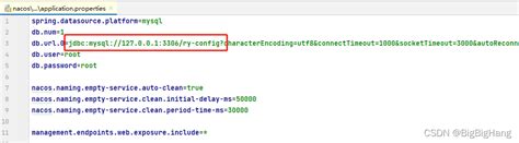Docker配置nacos启动报错javalangillegalstateexception No Datasource Setcaused By Javalang