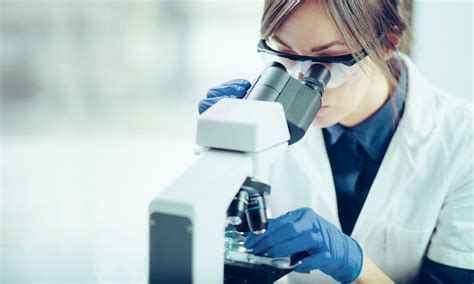 Ultrasound Increases Yields And Cannabinoid Extraction Speed
