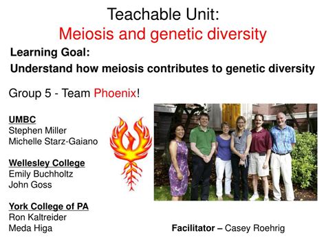 Ppt Teachable Unit Meiosis And Genetic Diversity Powerpoint