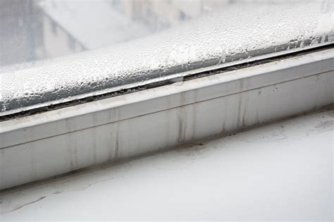 품질이 좋지 않습니다 환기가 좋지 않아 플라스틱 창문의 품질이 좋지 않아 창문과 창문 틀에 검은 곰팡이가 생겼습니다 금형은 건강에 위험합니다 0명에 대한 스톡 사진 및 기타