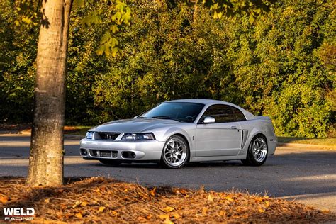 Svt Cobra Terminator 2003 Ford Mustang Svt Cobra The Terminator
