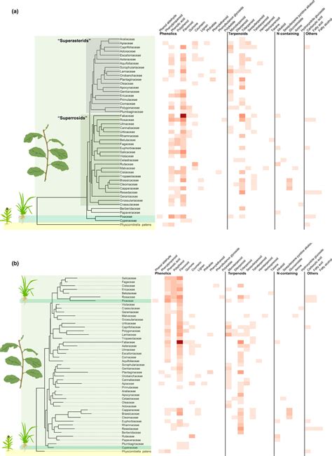 Heatmap Of Secondary Metabolite Diversity Per Butterfly Host Plant Download Scientific Diagram
