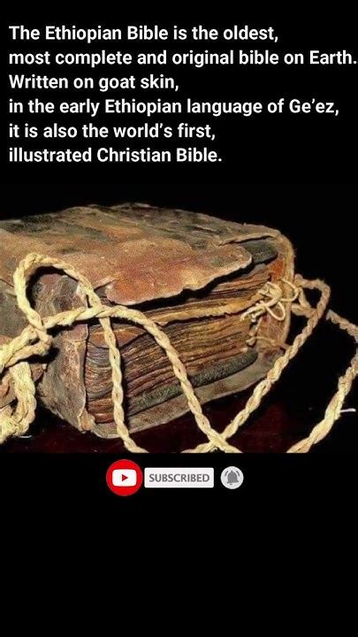 Is This The Oldest Bible In The World 🌍 🕊️ 📖 🙏 Shorts Jesus Bible