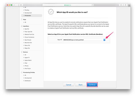 Ios Push Swift Apppot