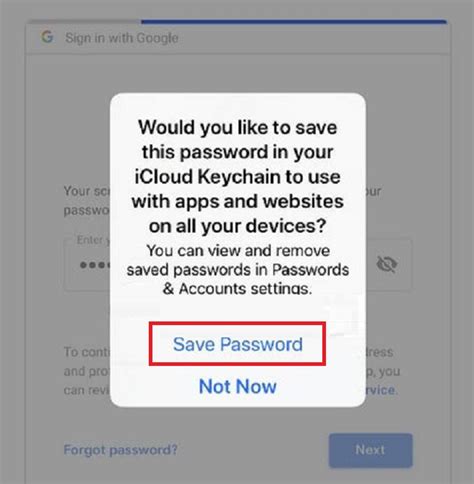Nuxt3js Flutter How To Enable The Remember Account And Password
