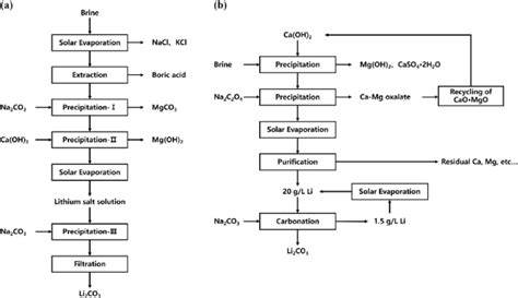 Flowchart Of The Precipitation Process Download Scientific Diagram